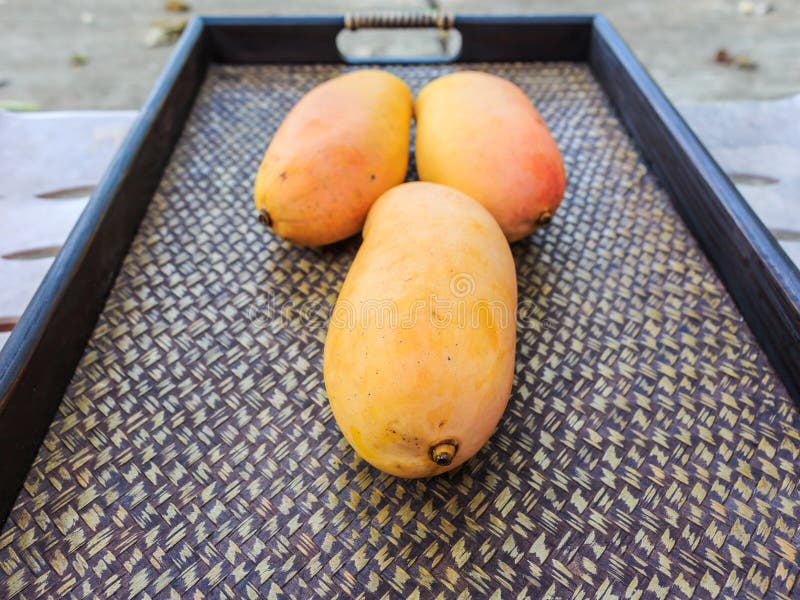 Ripe mango in Bamboo tray stock photo. Image of ripe - 55230854