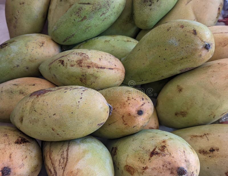 Ripe Mango with in a Box for Sale. Fruit Market Stock Photo - Image of ...