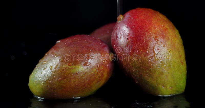 Wet Mango with Water Dripping on it Stock Video - Video of droplet ...