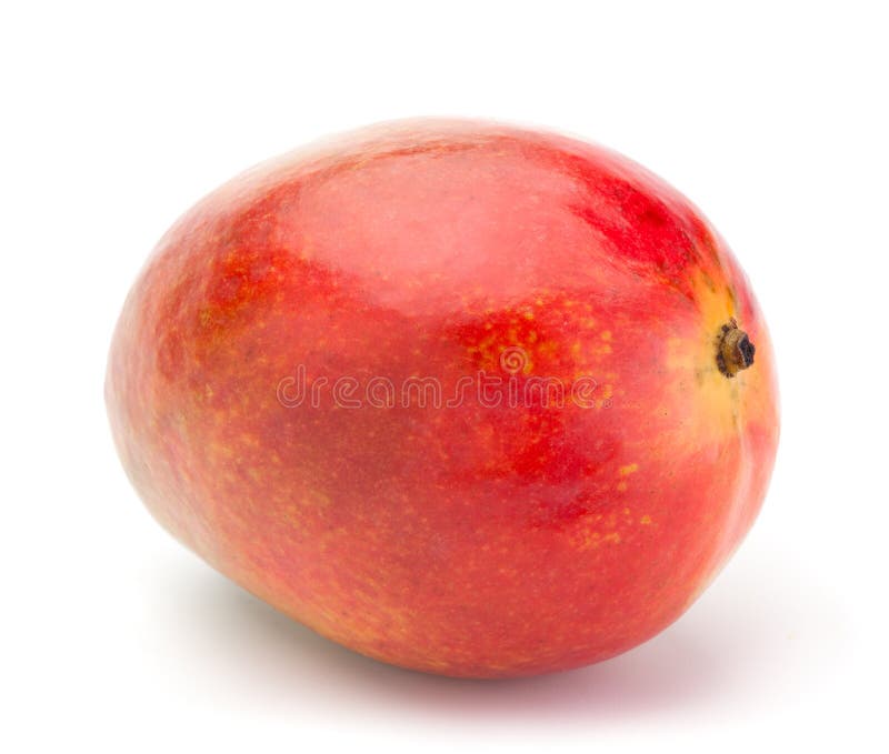 Ripe mango stock photo. Image of sweet, organic, tasty - 36072746