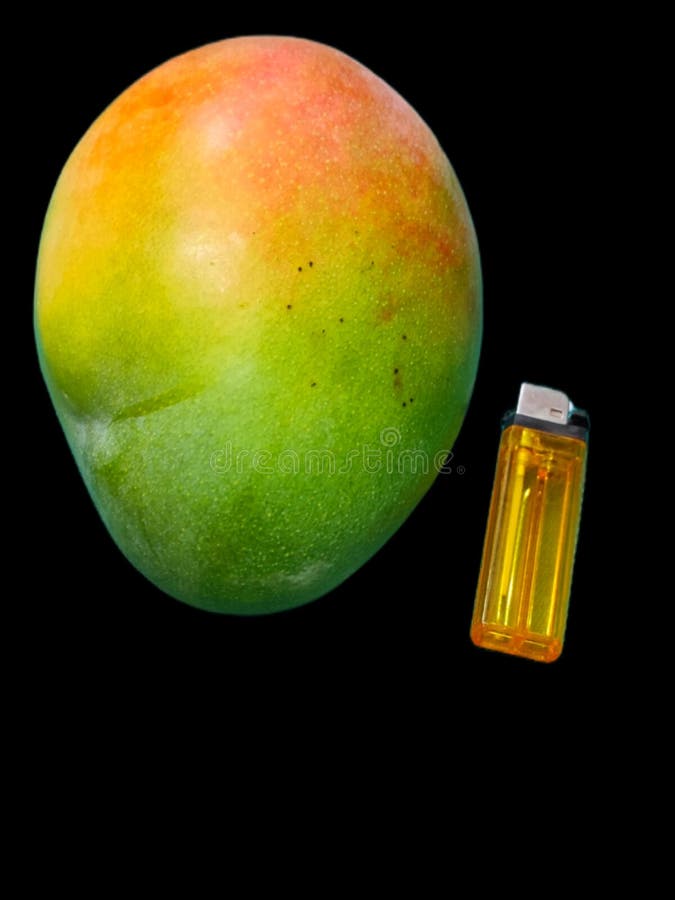 Ripe Mango Fruit from East Java, Indonesia Stock Photo - Image of diet ...