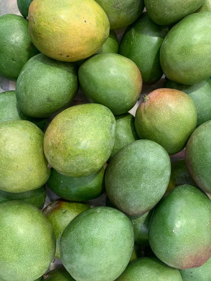 Ripe Mango Fruit for Eating As a Background Stock Image - Image of ...