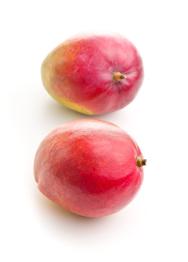 Ripe mango fruit stock photo. Image of background, ingredient - 143184152