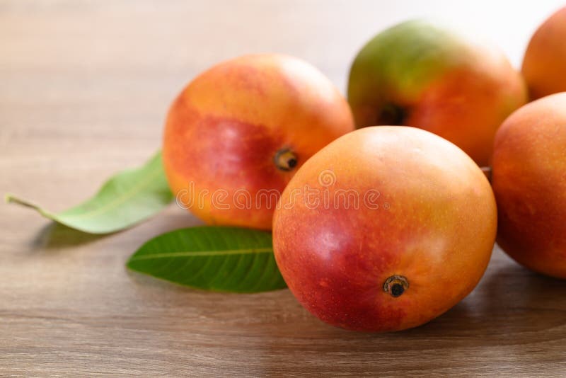 Mango Fruit Tommy Atkins Wooden Tropical Stock Photos - Free & Royalty ...