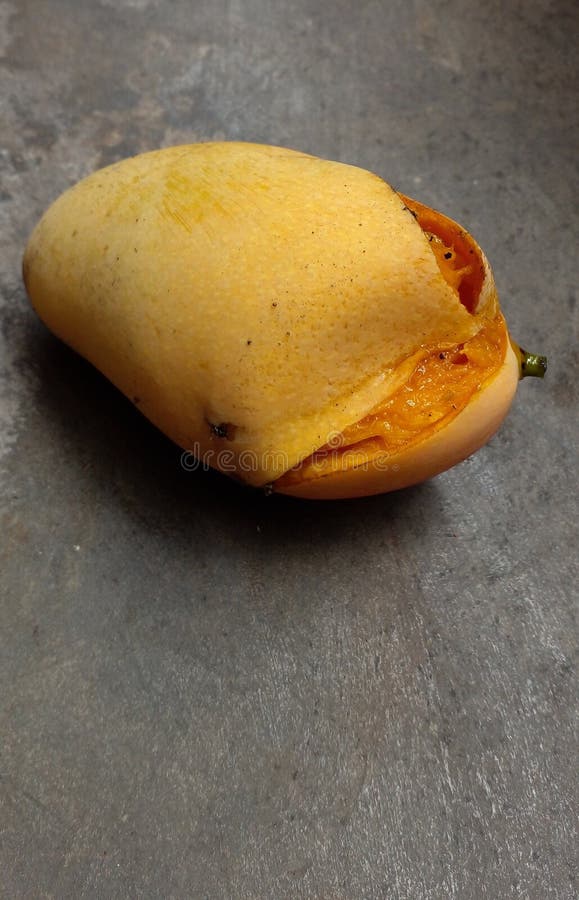 Ripe Mango. Mango Fruit Whose Skin Was Cracked Peeled Off because it ...