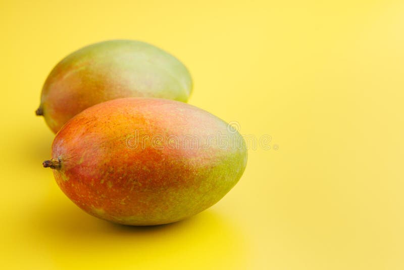 Ripe Mango Fruit on Yellow Background Stock Photo - Image of vegetarian ...