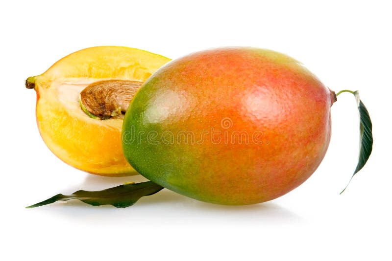 Ripe Mango Fruits with Leaves Stock Image - Image of gourmet, organic ...