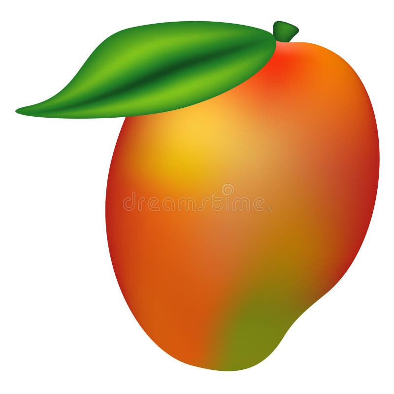 Single Ripe Mango Stock Illustrations – 1,508 Single Ripe Mango Stock ...
