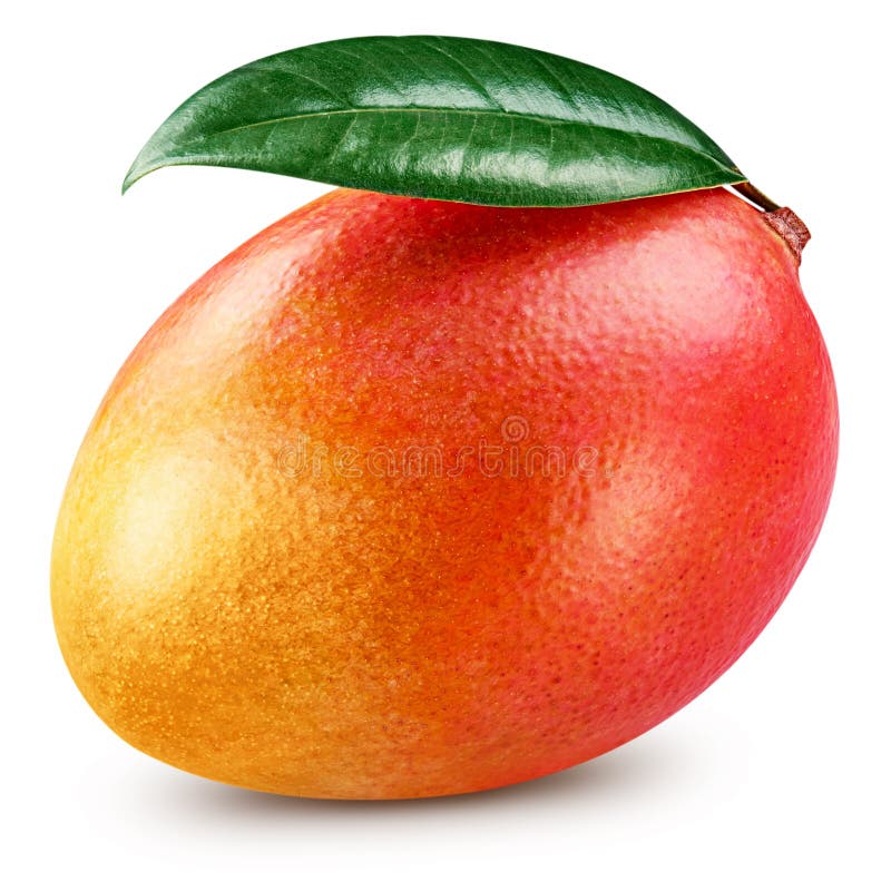 Ripe mango isolated stock photo. Image of fresh, sweet - 115285968