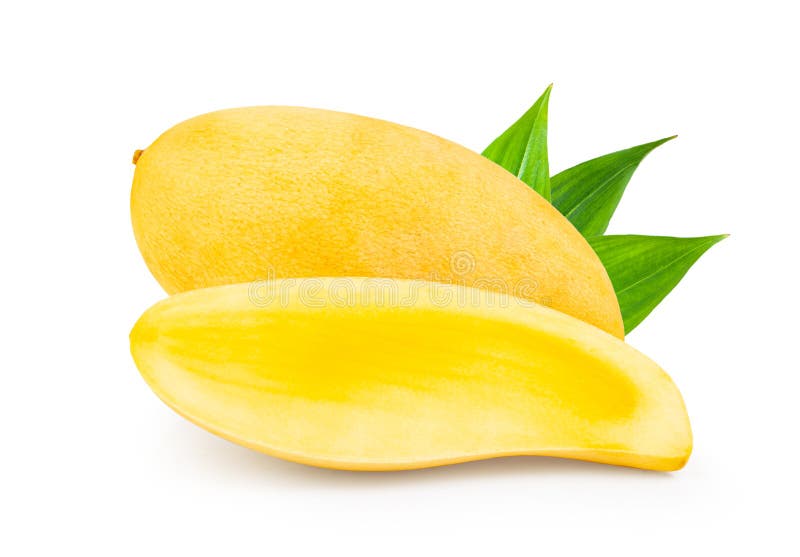 Carabao Mango Stock Photos - Free & Royalty-Free Stock Photos from ... Carabao Mango Stock Photos - Free & Royalty-Free Stock Photos from ...