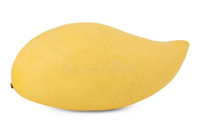 Ripe Mango Isolated on White Stock Photo - Image of nutrition, closeup ...