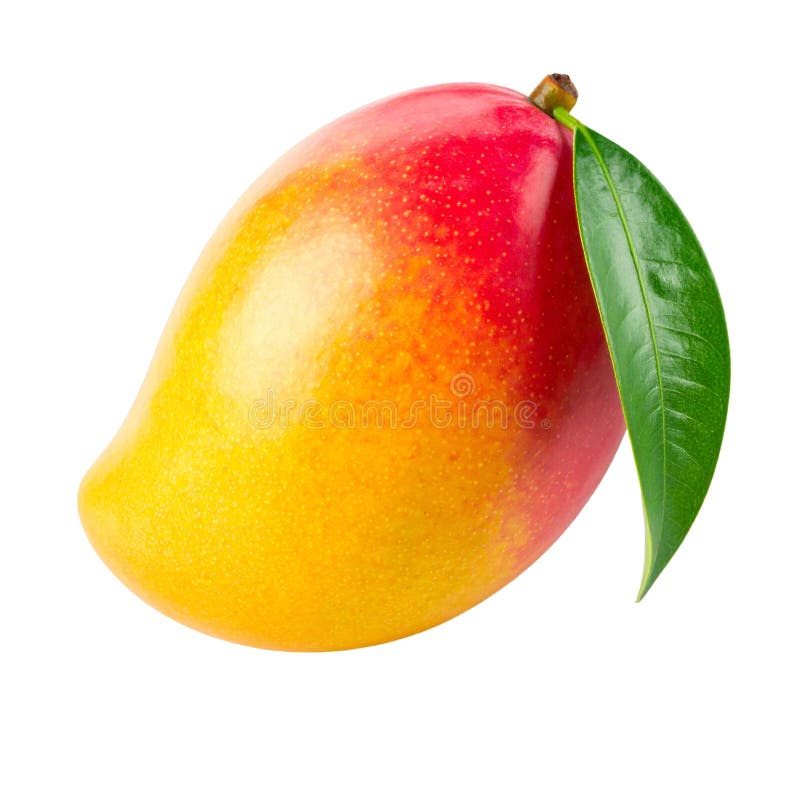 216 Ripe Mango Fruit Leaf Transparent Background Stock Photos - Free ...