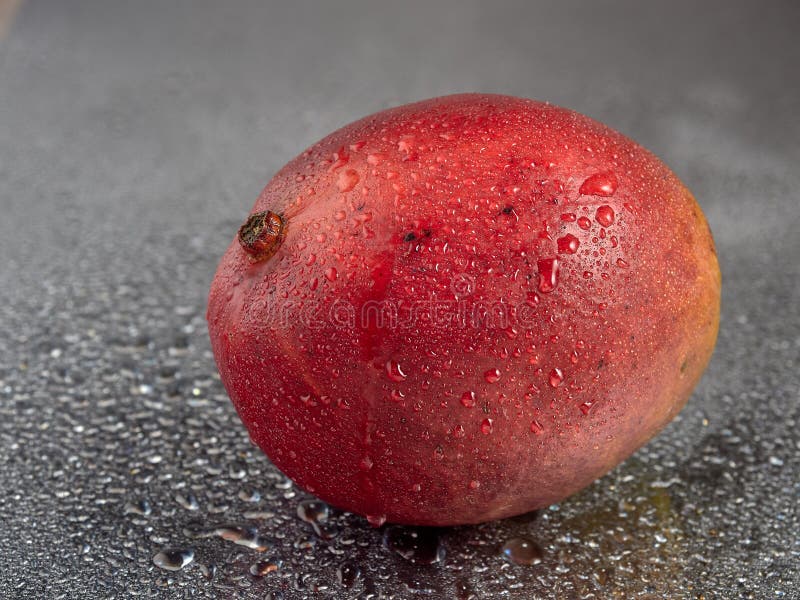 Ripe Mango Lies on a Black Wet Glass and Drops of Water Fall from it ...