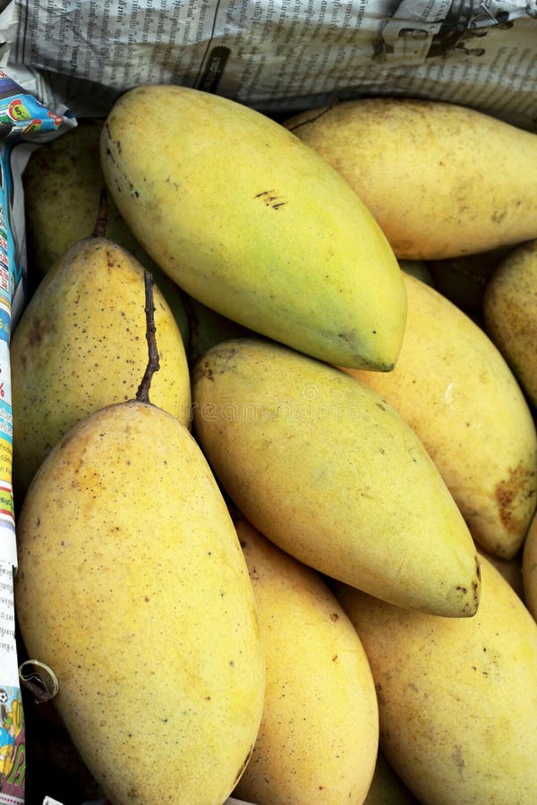 Ripe mango in the market stock photo. Image of colorful - 38263526