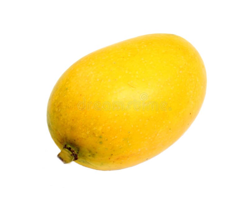 Ripe Mango stock image. Image of mango, background, ripe - 31241679