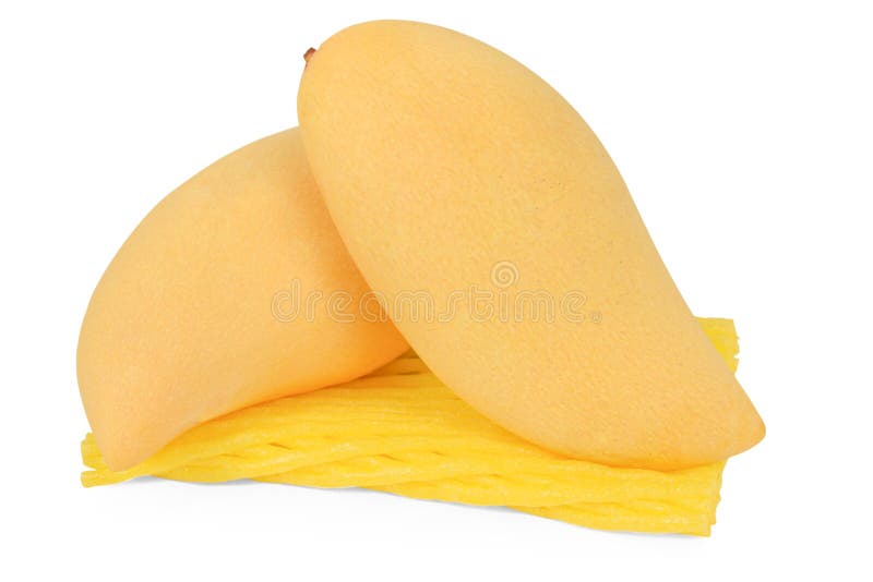 Ripe Mango Placed on a Yellow Fruit Mesh Sleeve. Stock Photo - Image of ...