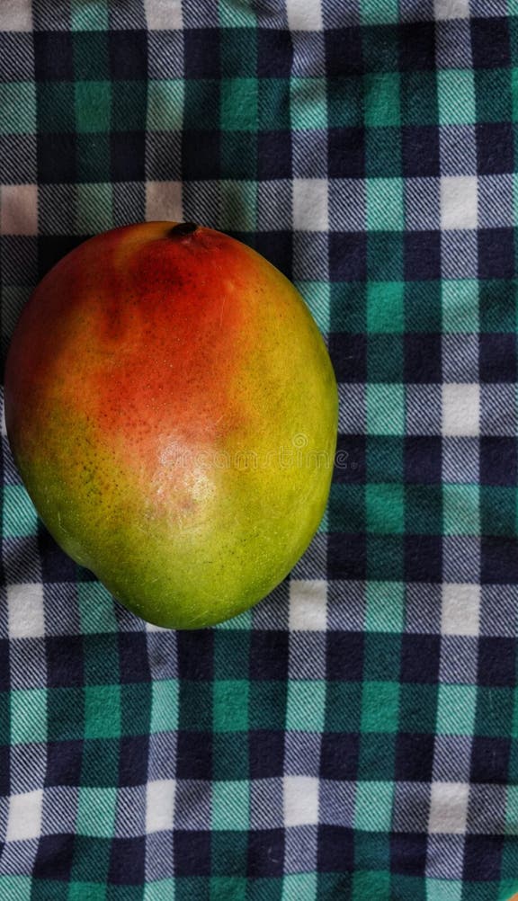 Ripe Mango with Red and Yellow Skin Stock Image - Image of yellow ...