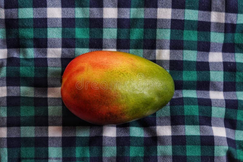 Ripe Mango with Red and Yellow Skin Stock Image - Image of tasty ...