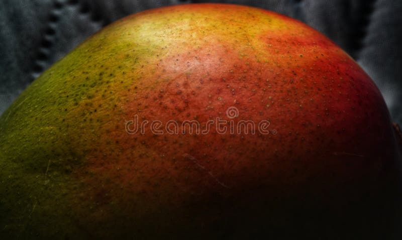 Ripe Mango with Red and Yellow Skin Stock Photo - Image of macro, mango ...