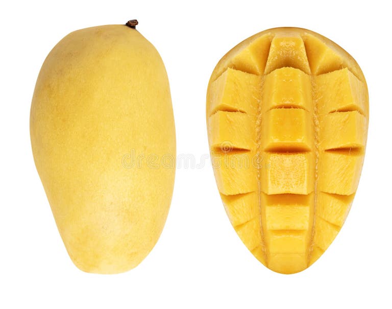 298 Plant Mango Border Stock Photos - Free & Royalty-Free Stock Photos ...