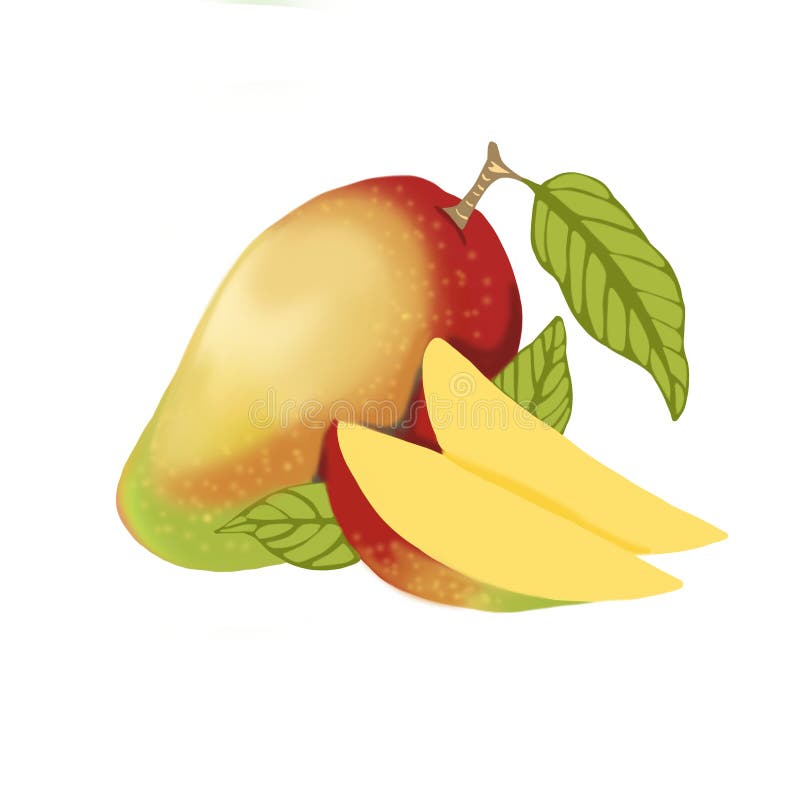 Ripe mango with two slices stock photo. Image of mango - 185072254