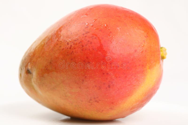 Ripe mango on white stock image. Image of healthy, color - 17731077