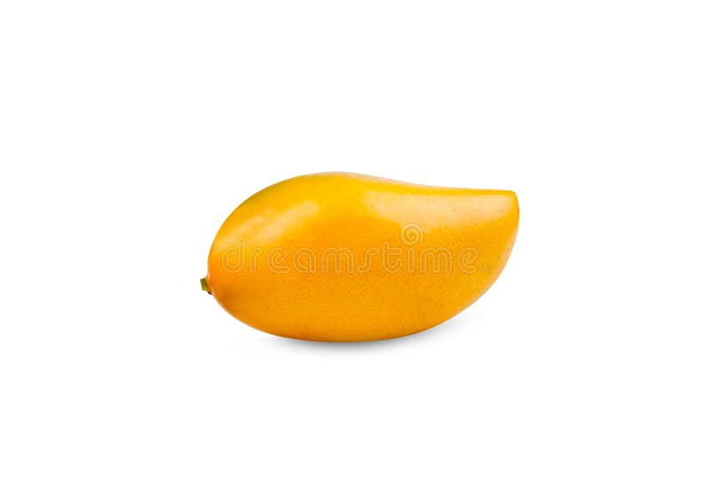 Ripe Mango Cut in Half on a White Background Cutting Path Stock Photo ...