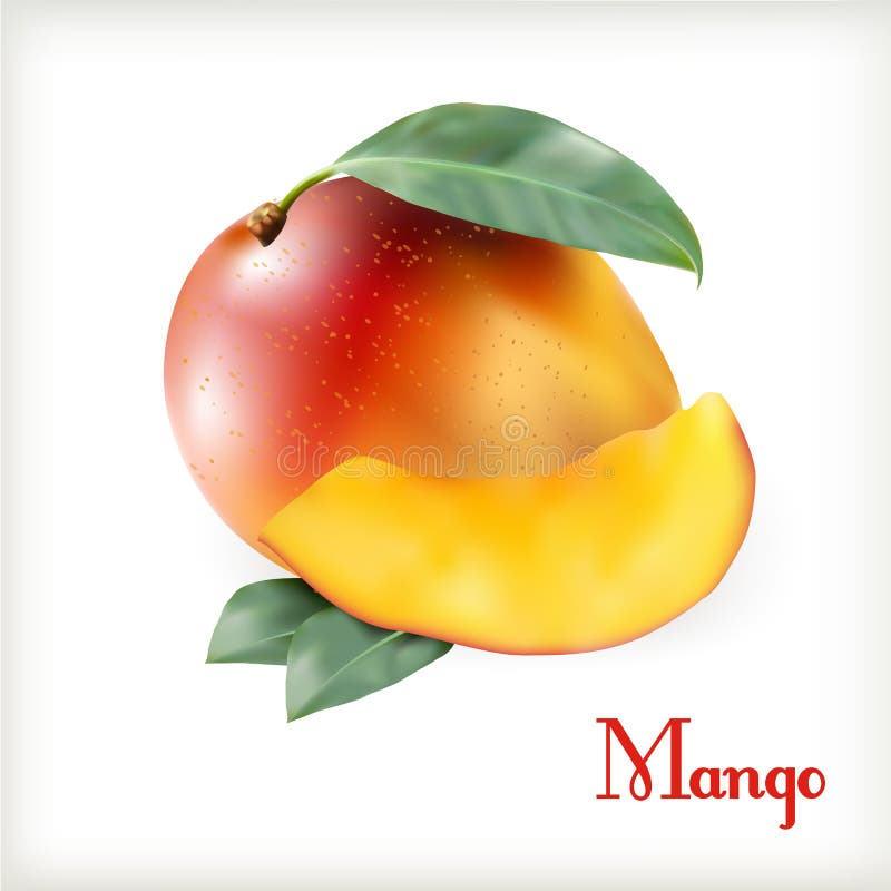 Mango Slice Leaves Stock Illustrations – 2,307 Mango Slice Leaves Stock ...