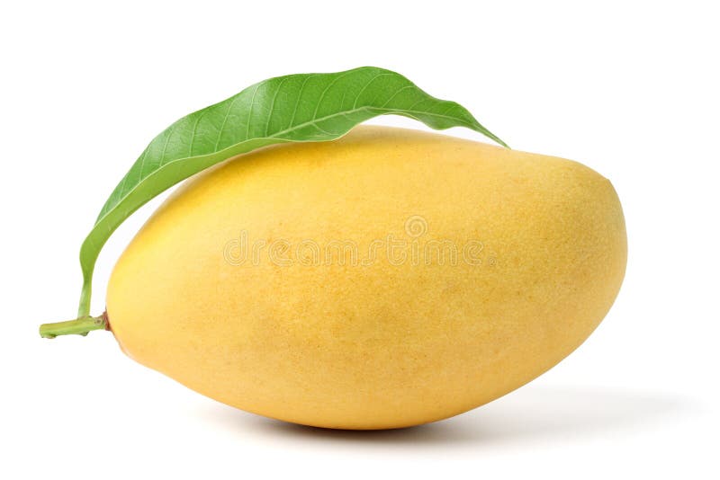 Ripe Mango Yellow with Green Leaves. Stock Photo - Image of delicious ...