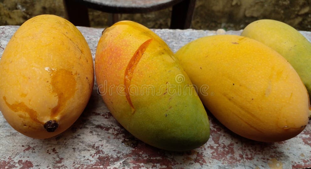 Ripe Mango. Yellow Mango is Placed on a Cement Bench Stock Photo ...