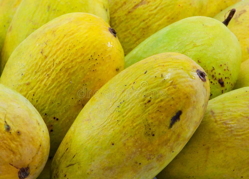 Ripe mangoe stock image. Image of brown, health, ripe - 18940581