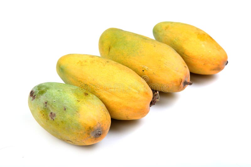 Ripe mangoes stock image. Image of background, fresh - 14895923