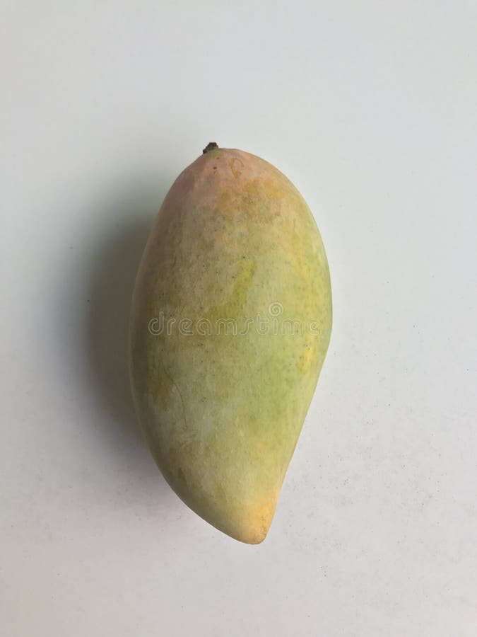 Ripe mangoes stock photo. Image of gourmet, summer, agriculture - 97616096