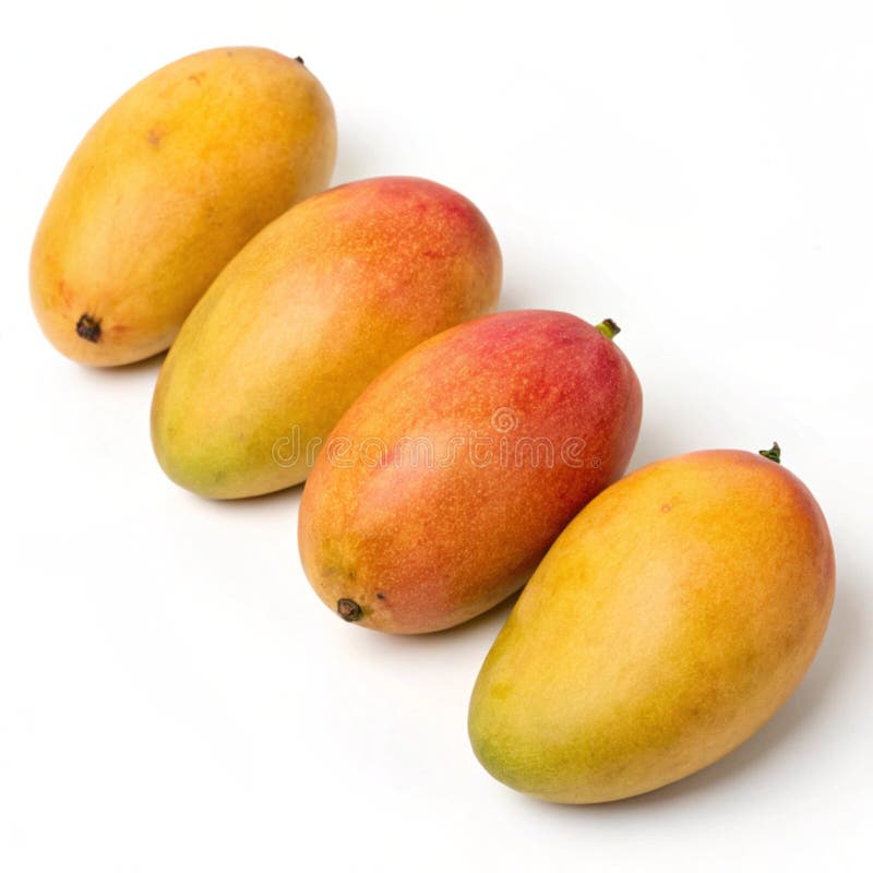 Ripe Mangoes Isolated on Transparent Background Stock Illustration ...