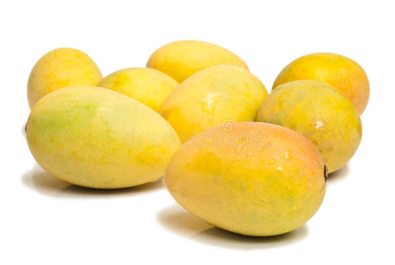 Ripe mangoes stock image. Image of eatable, manga, green - 30469621