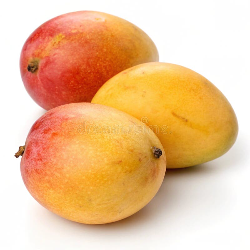Ripe Mangoes Isolated on White Background Stock Illustration ...