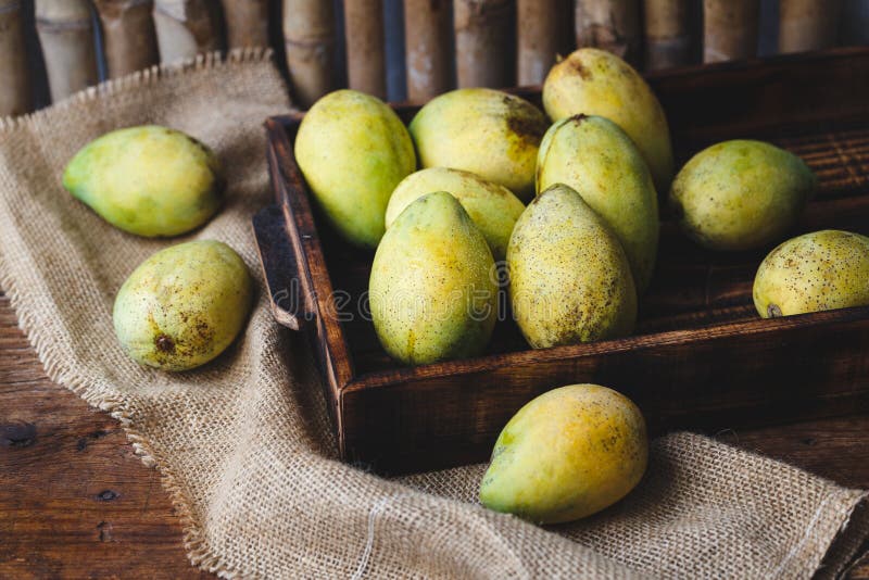Ripe Mangoes stock image. Image of asia, healthy, tasty - 83699081