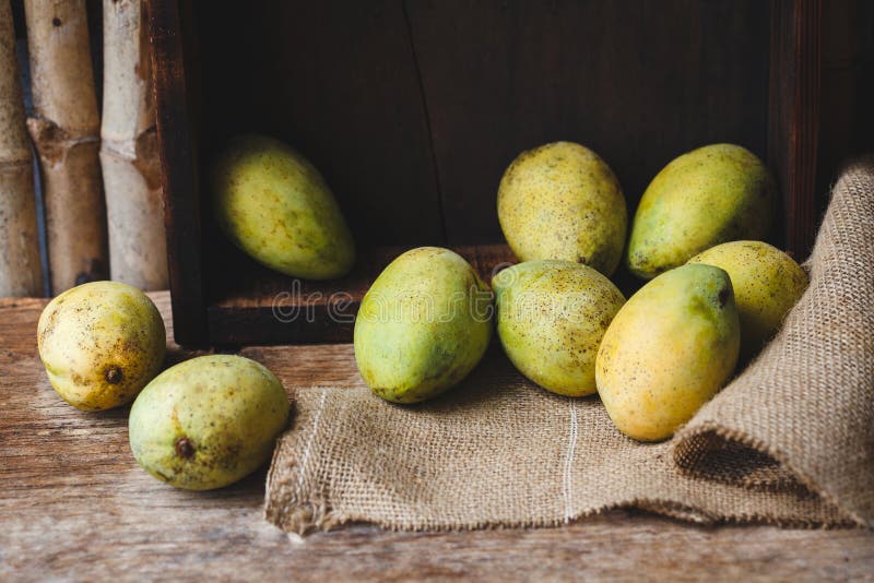 Ripe Mangoes stock image. Image of lose, sweet, fresh - 83699397