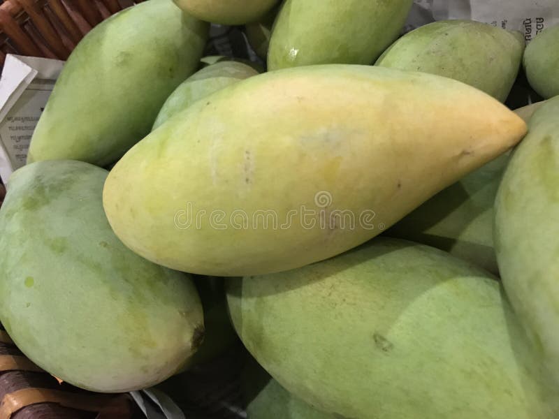 Ripe mangoes stock image. Image of agriculture, summer - 97615917