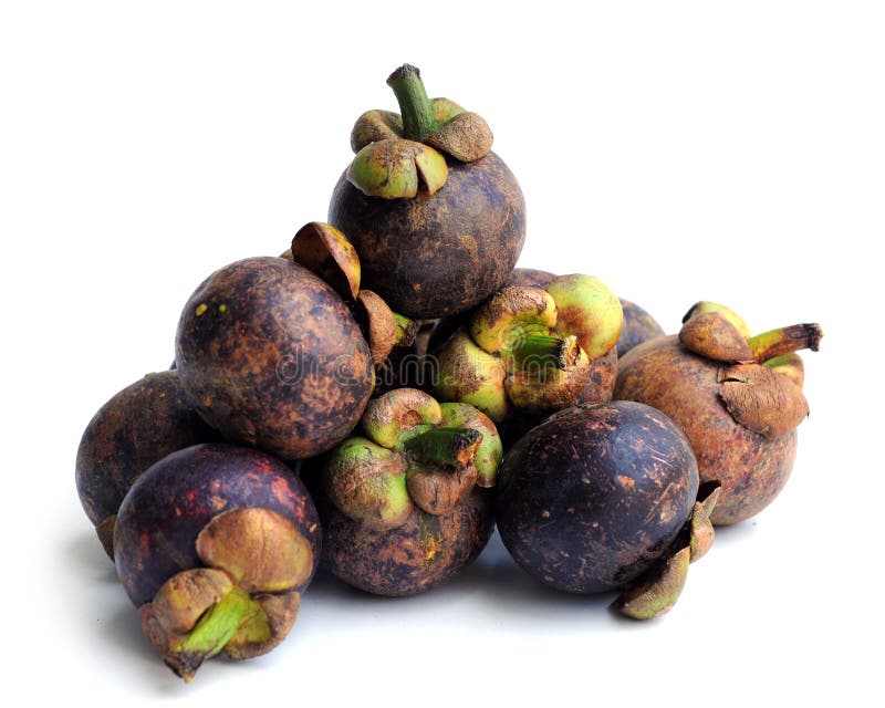 Ripe mangosteen stock image. Image of freshness, ripe - 40269479