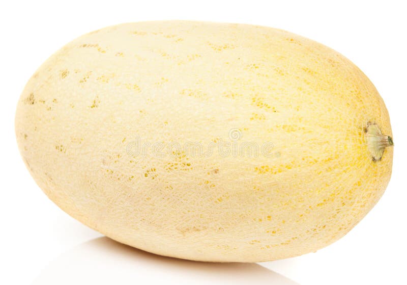 Ripe Melon Isolated on White Stock Image - Image of alone, lying: 16127095