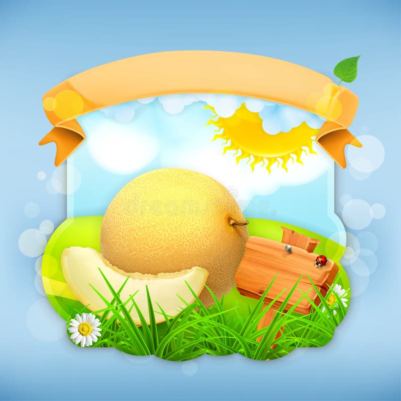 Ripe melon label design stock vector. Illustration of nature - 59139121