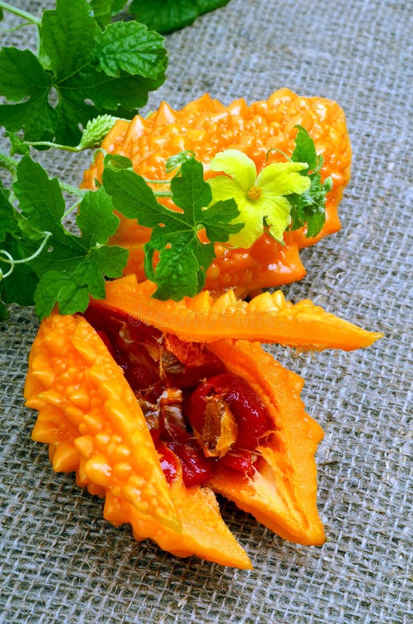 Ripe Momordica Cochinchinensis Hanging on the Vine Tree. Stock Photo ...