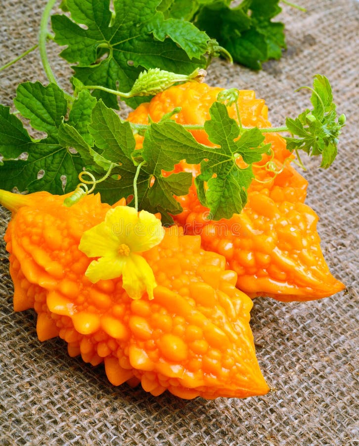 Ripe Momordica Cochinchinensis Hanging on the Vine Tree. Stock Photo ...