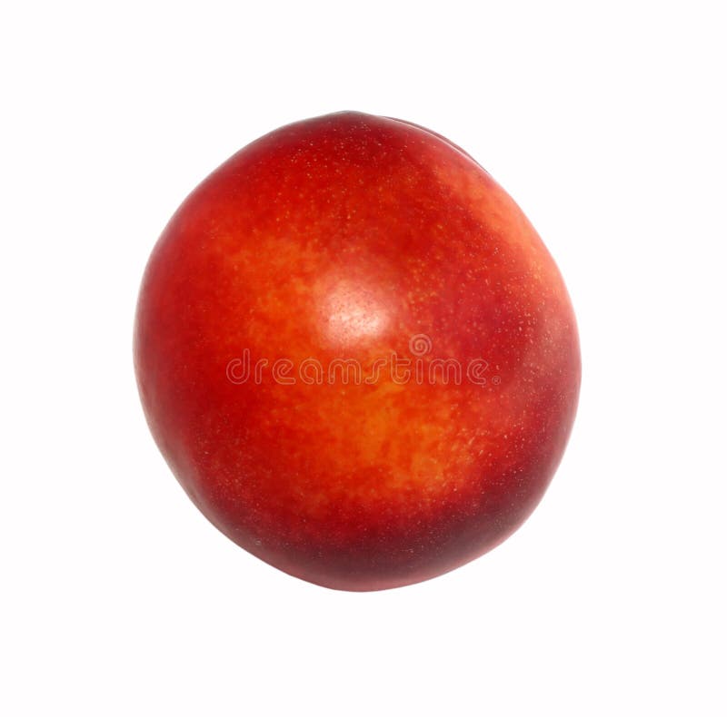 Ripe nectarine stock photo. Image of health, fruit, healthy - 12520756