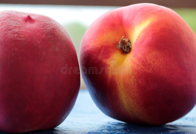 Ripe nectarine stock photo. Image of peach, healthy, fruit - 97908658
