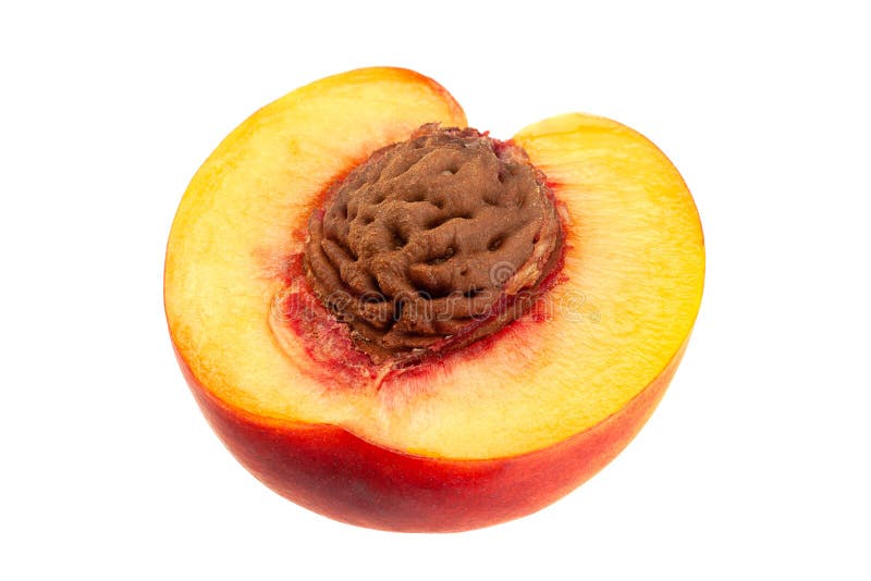 Nectarine fruit stock photo. Image of round, juicy, sweet - 42927510