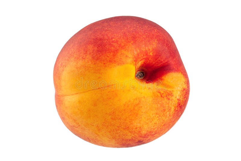 Nectarine fruit stock photo. Image of round, juicy, sweet - 42927510