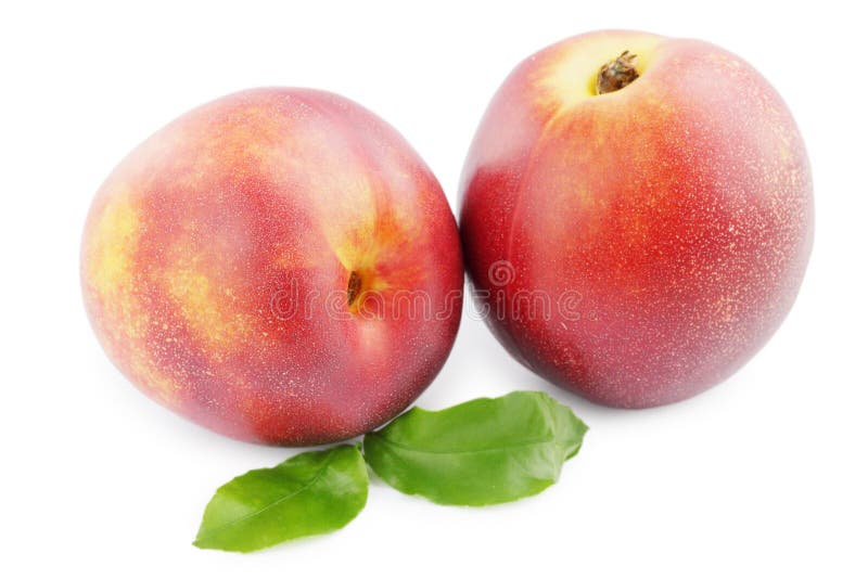 Ripe nectarine stock photo. Image of objects, portion - 43605274