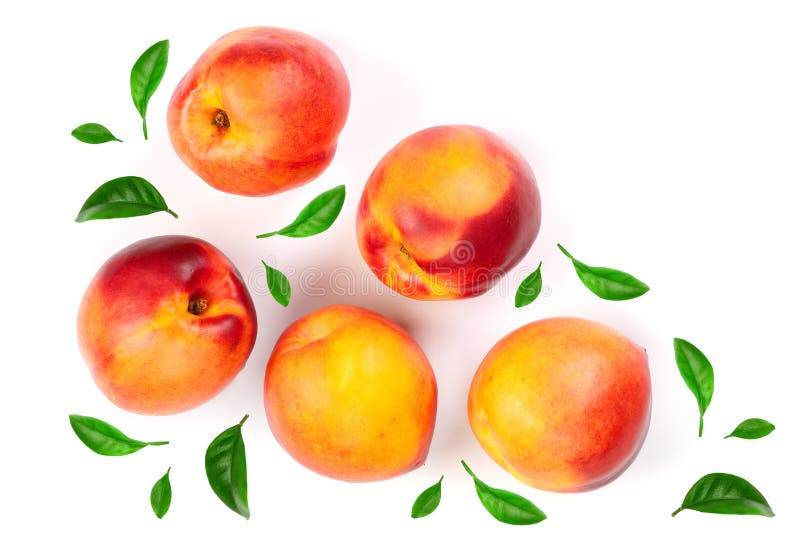 Ripe Nectarine with Leaves Isolated on White Background. Top View Stock ...